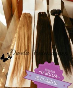 Productos – Divela